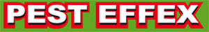 Home - Pest Effex
